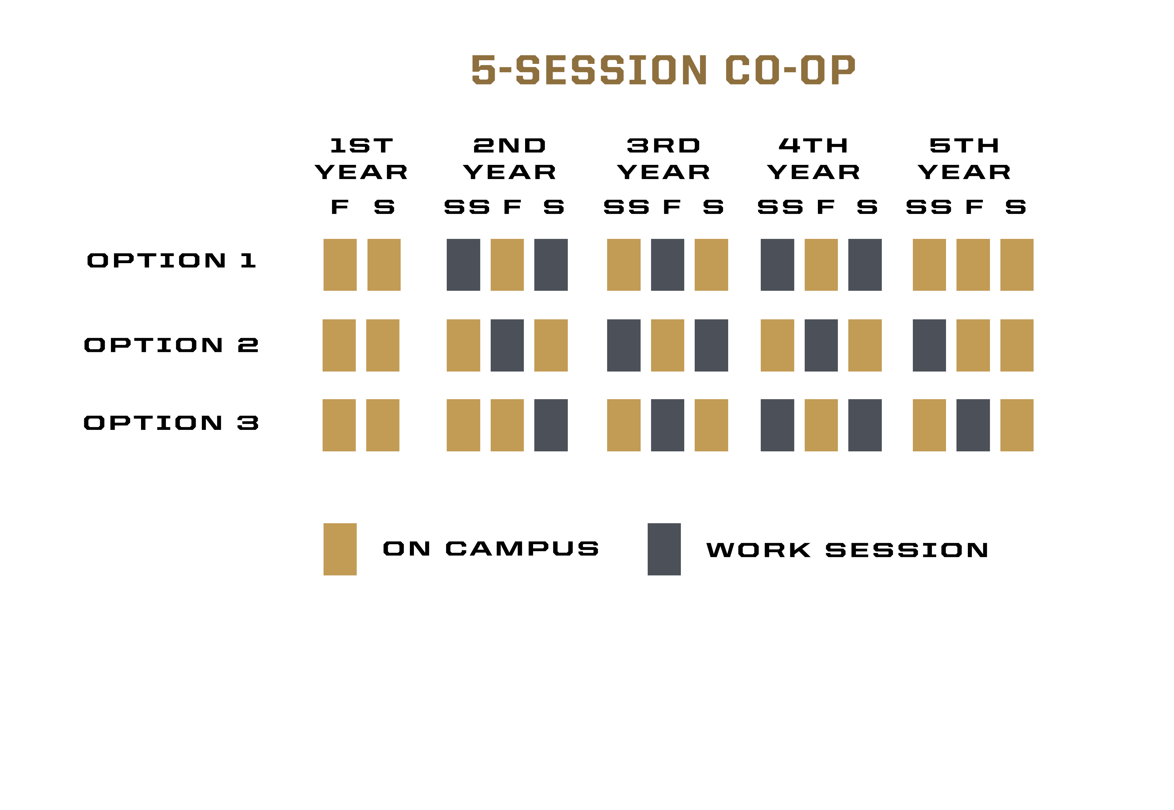 Undergraduate Co-op - Office of Professional Practice - Purdue University